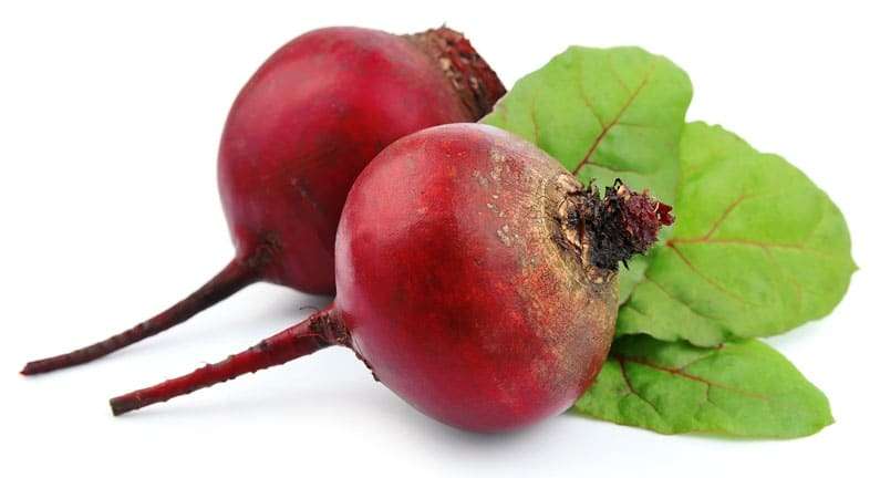 red-beet - Bali Direct