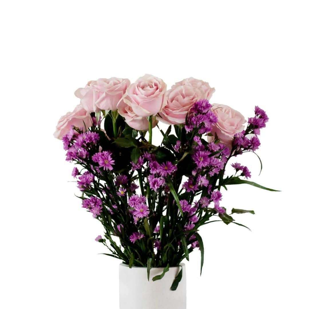 BFR Soft Pink Roses 1 Set - Bali Direct Soft Pink Rose - Free Delivery