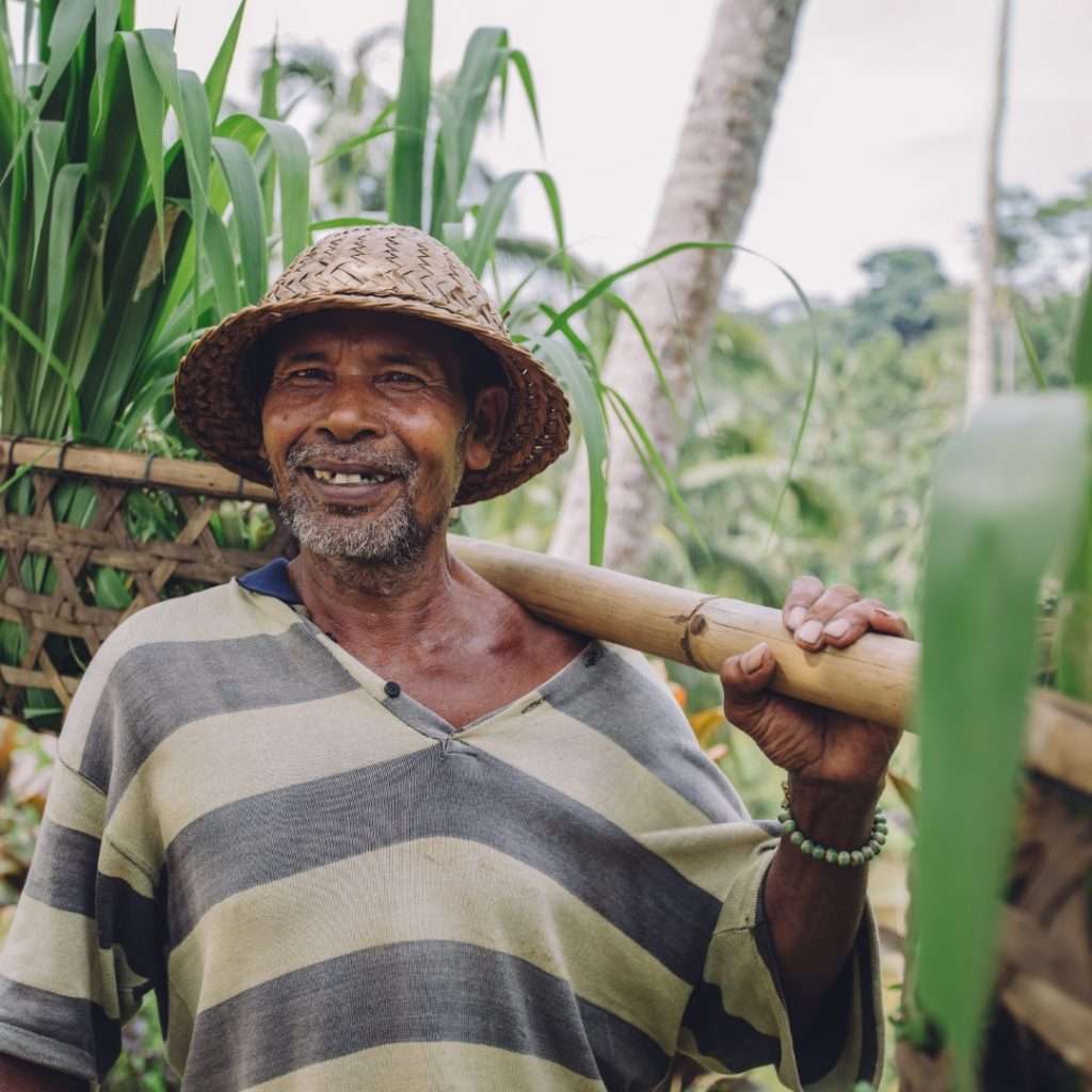 Think Global, Eat Local - Bali Direct Store - #1 Curated Grocery Store