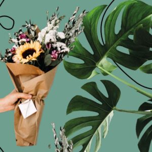 Postal Codes - Bali Direct