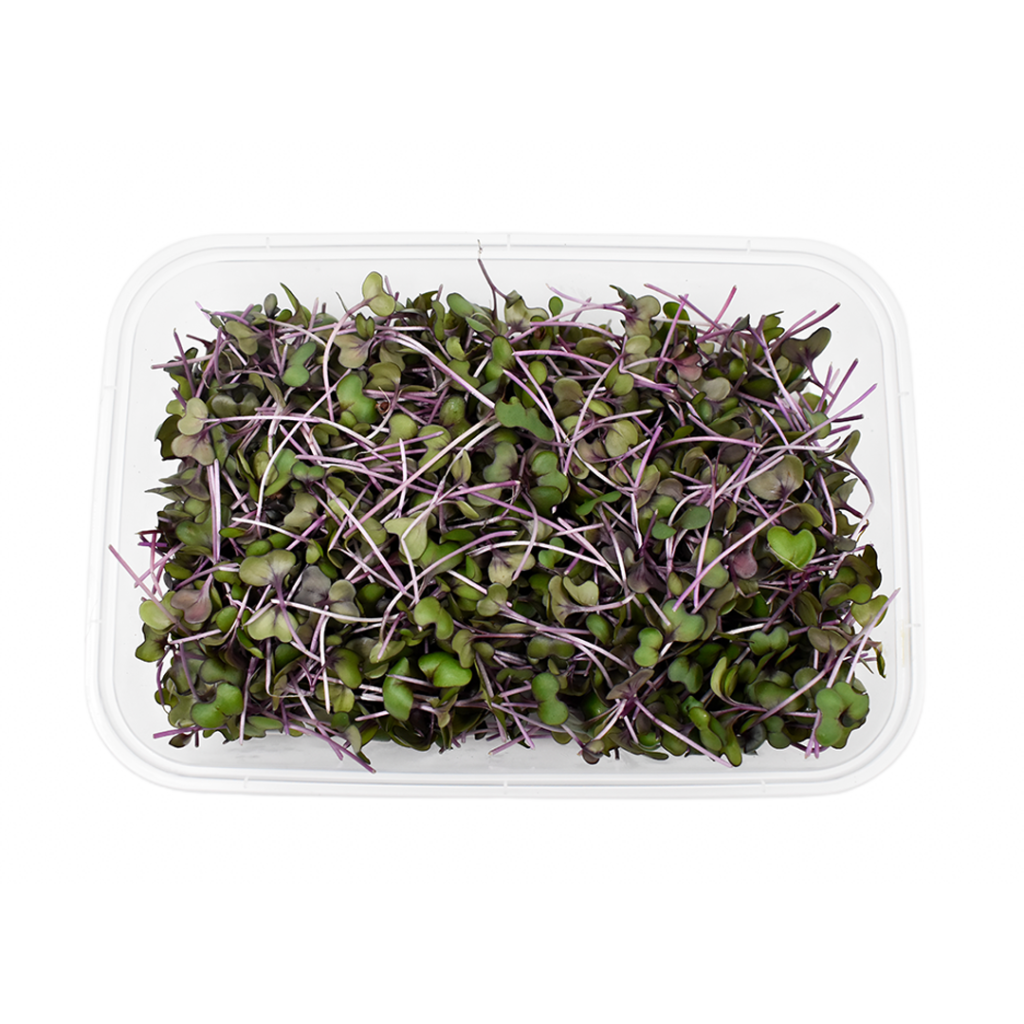 Fruit & Veggies Archives - Bali Direct